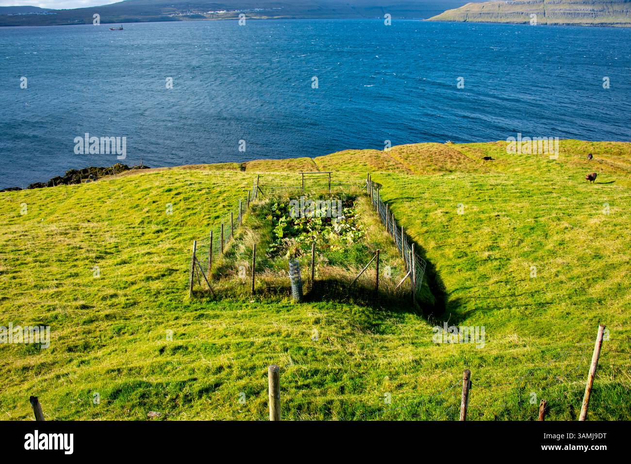 Agricultural Land on Eysturoy Island - Faroe Islands Stock Photo - Alamy