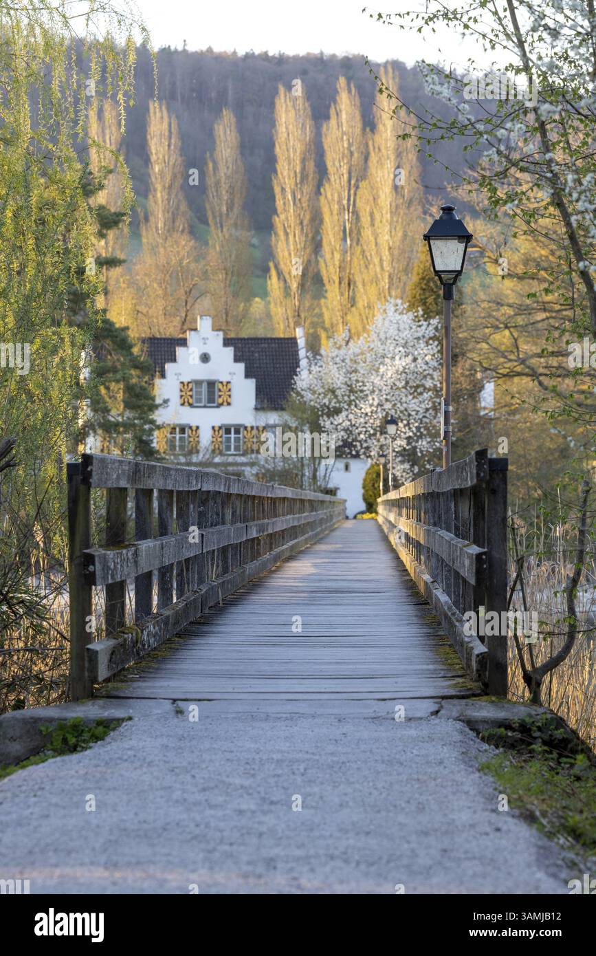 Wooden footbridge to the island of Werd, monastery island, Untersee ...