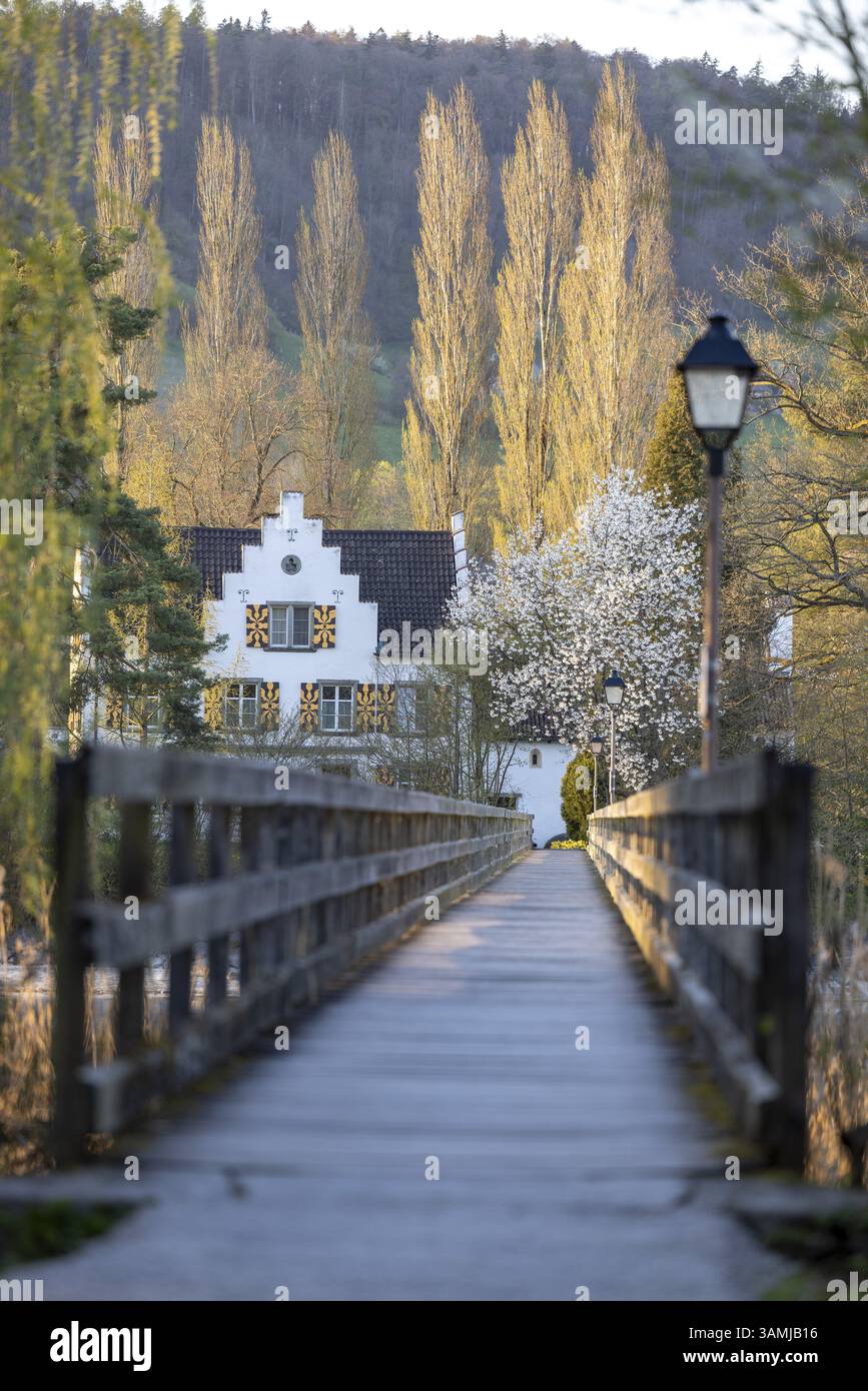 Wooden footbridge to the island of Werd, monastery island, Untersee ...