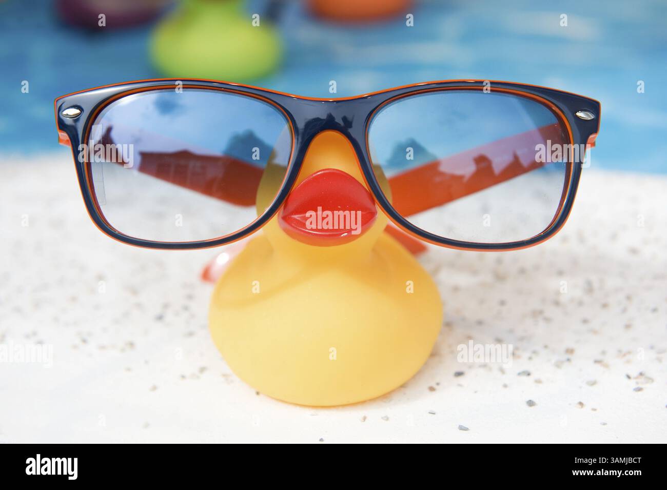 Vacation duck with sunglasses at the beach Stock Photo - Alamy