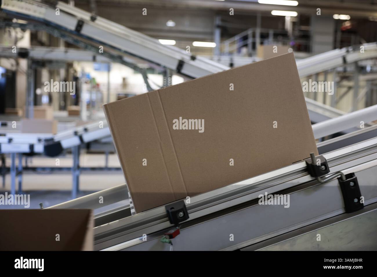 Cartons, parcels for goods dispatch on a conveyor belt, conveyor belt ...