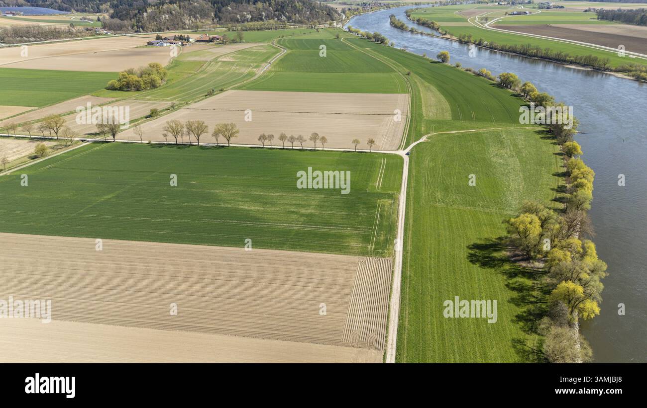 Aerial view of a river (Danube) next to green and brown fields, lined ...
