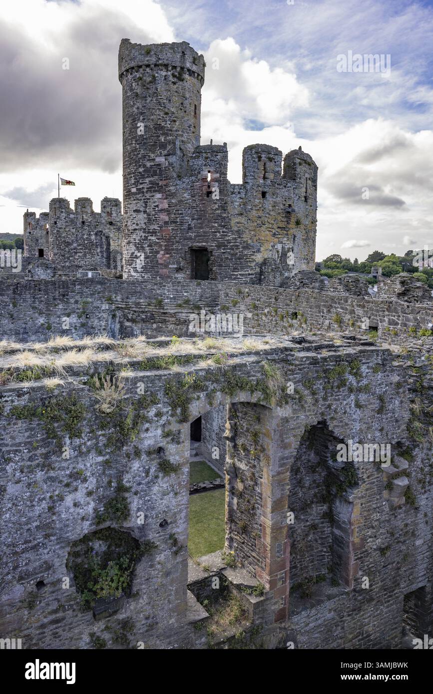 Conwy Castle, medieval castle ruins, Conwy, Wales, Great Britain Stock ...