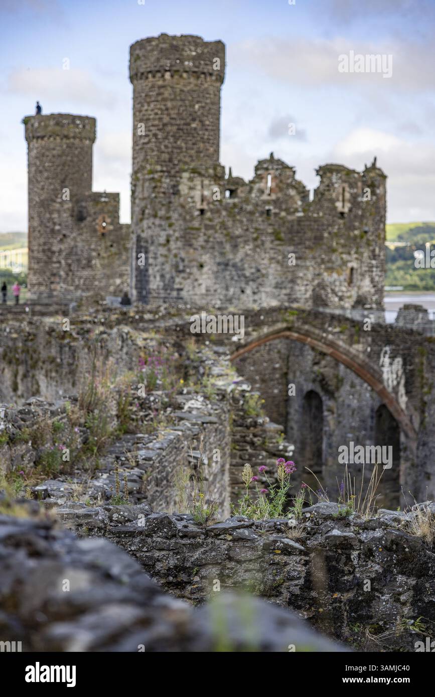 Medieval castle ruins with several towers against a natural backdrop ...