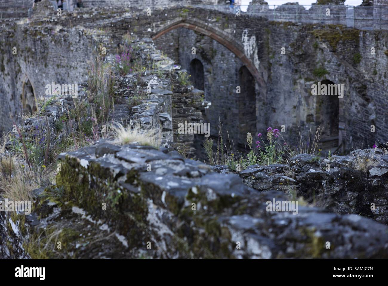 Old ruins with stone walls and arches, overgrown with vegetation and ...