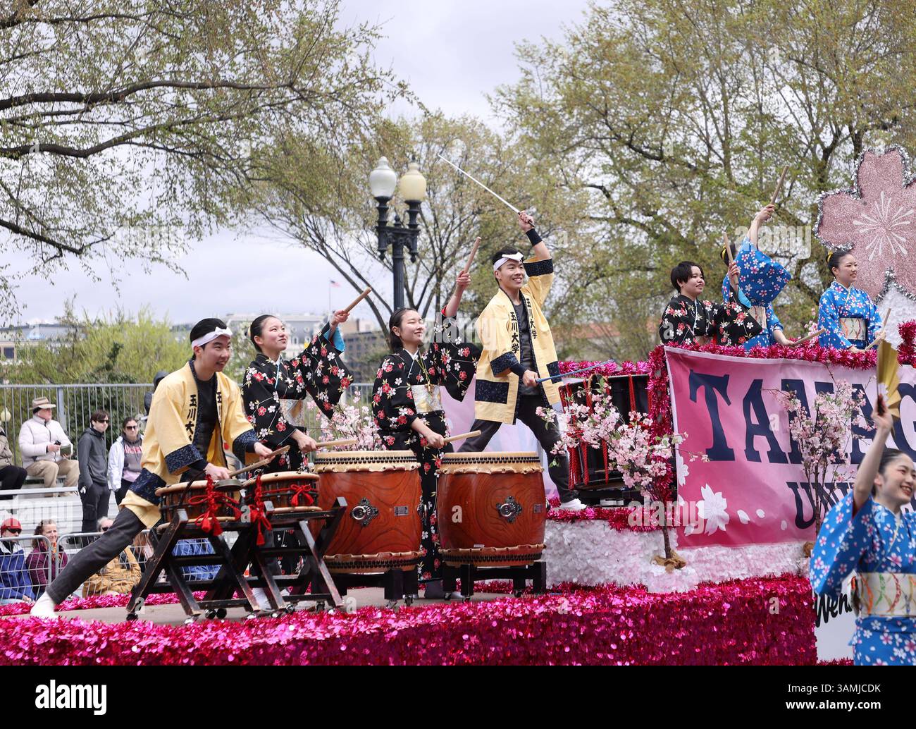 Cherry Blossom and Parade in Washington, District of Columbia, USA ...