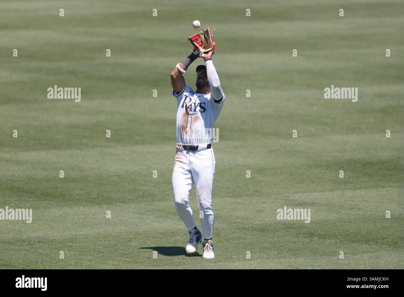 Tampa, FL USA: Tampa Bay Rays shortstop José Caballero (77) catches a ...