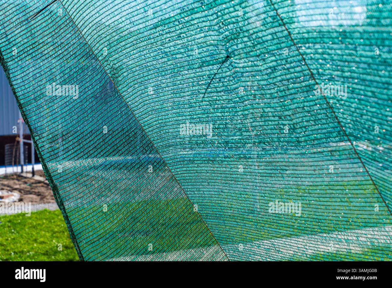Sunshade net, green color. Protection from heat and scorching sun Stock ...