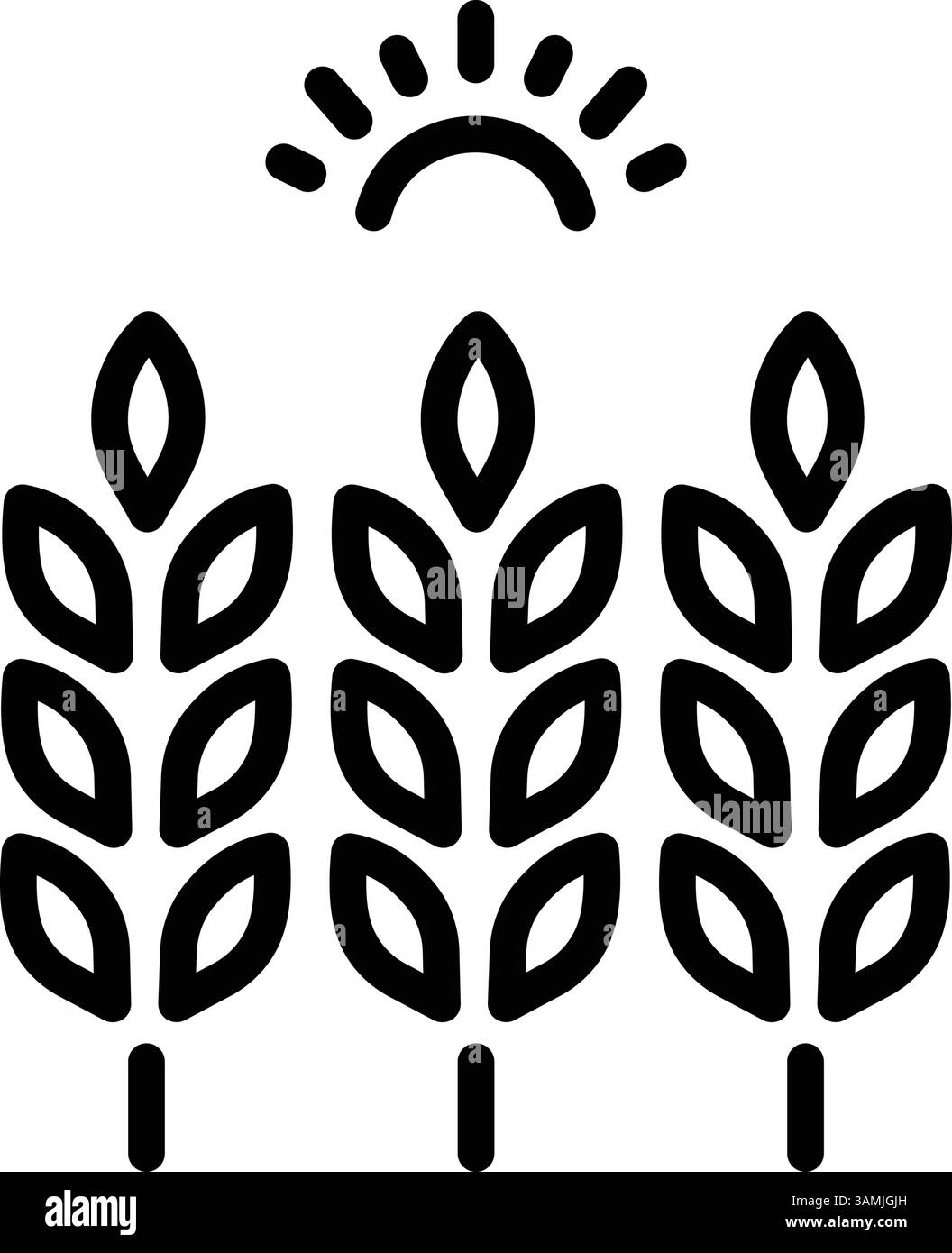 Icon for wheat, durum wheat Stock Vector Image & Art - Alamy