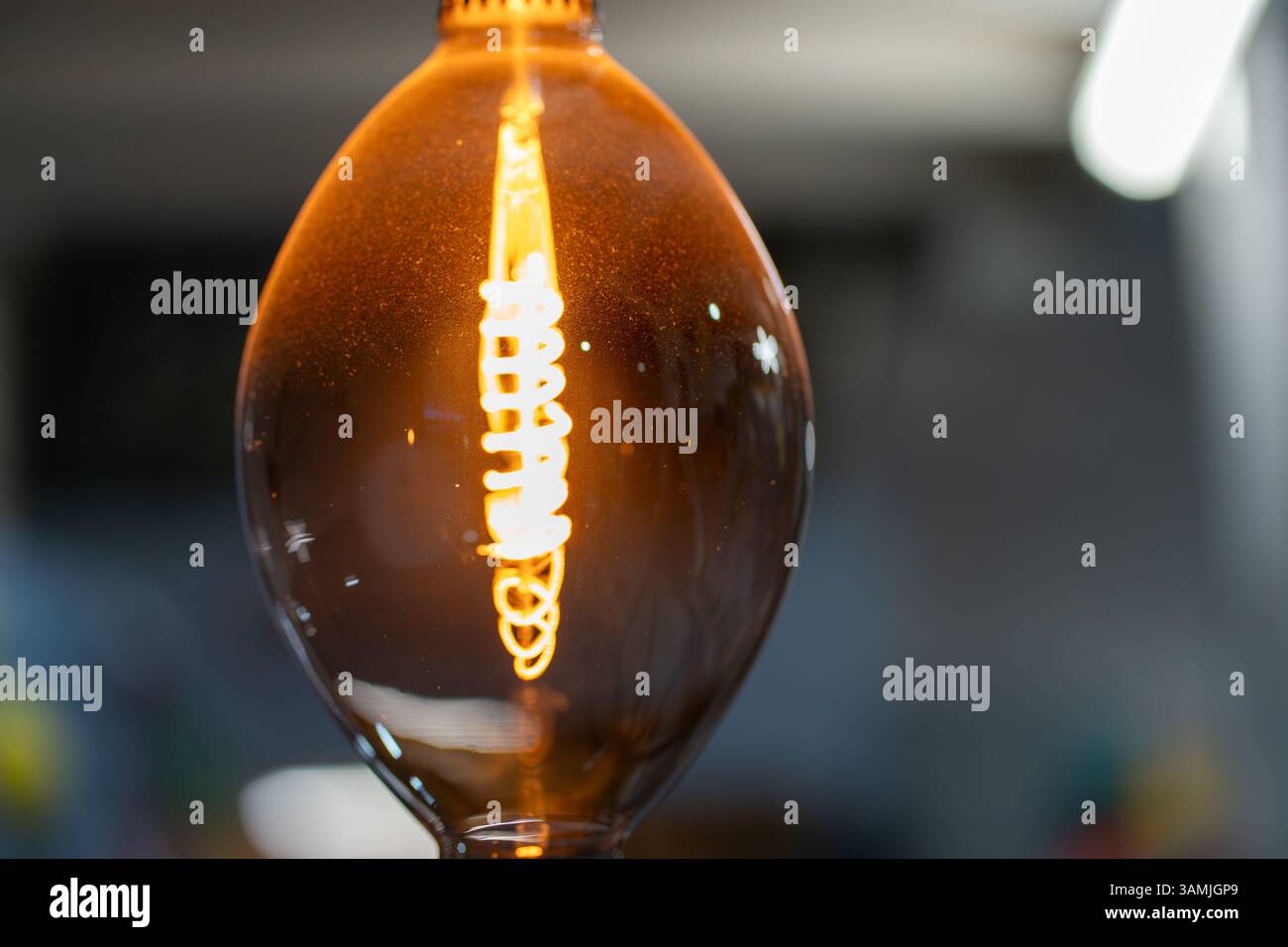Decorative antique style filament light bulb glowing softly. The ...