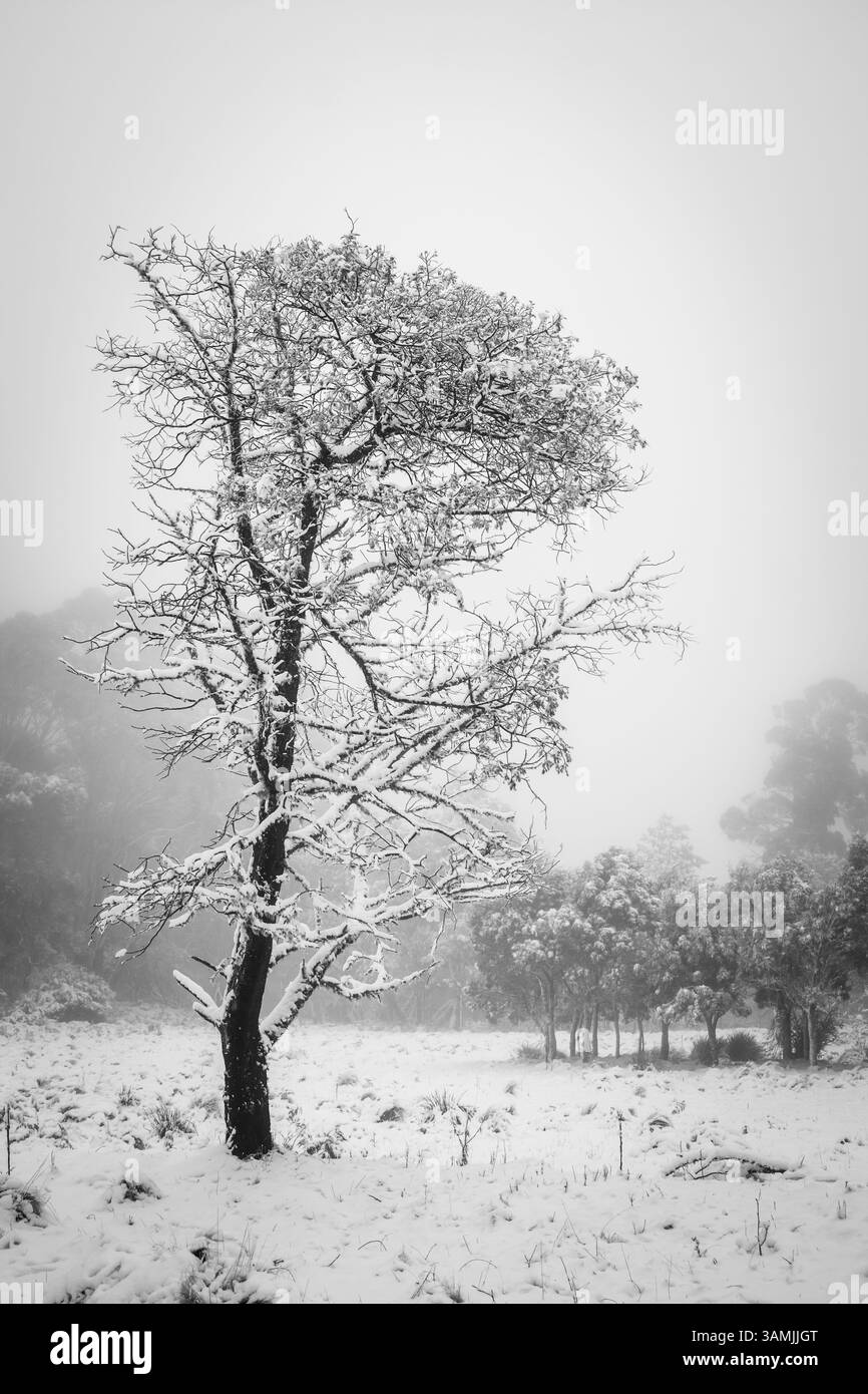Trail in country hiking Black and White Stock Photos & Images - Alamy