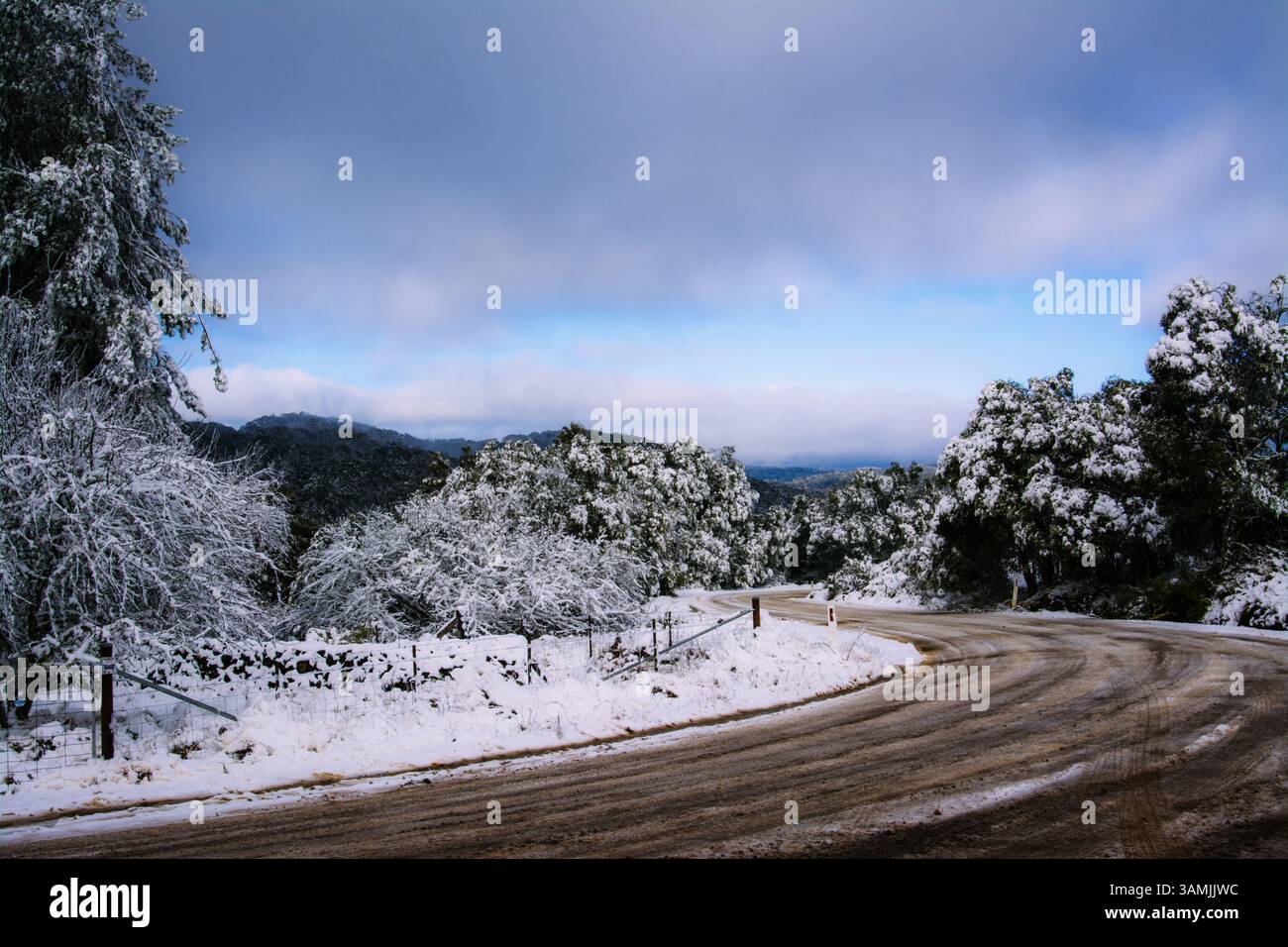 snow in the Australian high country Stock Photo - Alamy