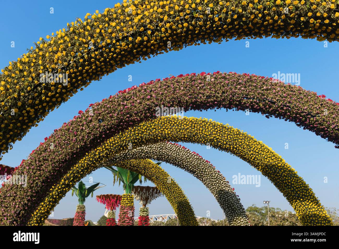 Ahmedabad International Flower Show Ahmedabad Gujarat India Stock Photo ...