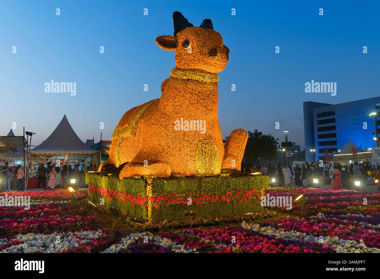 Ahmedabad International Flower Show Floral display Ahmedabad Gujarat ...