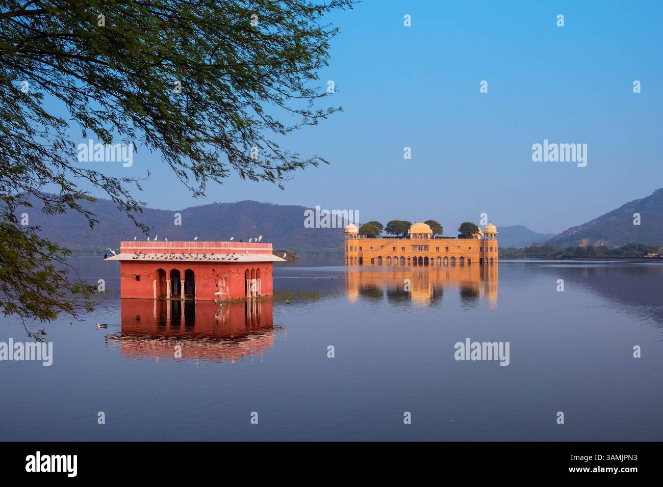 Jal Mahal Water Palace Man Sagar Lake Jaipur Rajasthan India Stock ...