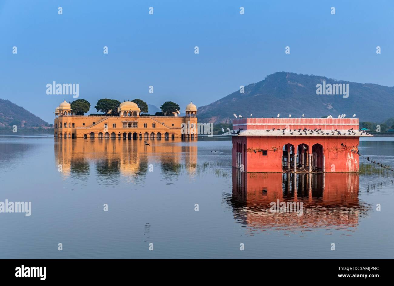 Jal Mahal Water Palace Man Sagar Lake Jaipur Rajasthan India Stock ...
