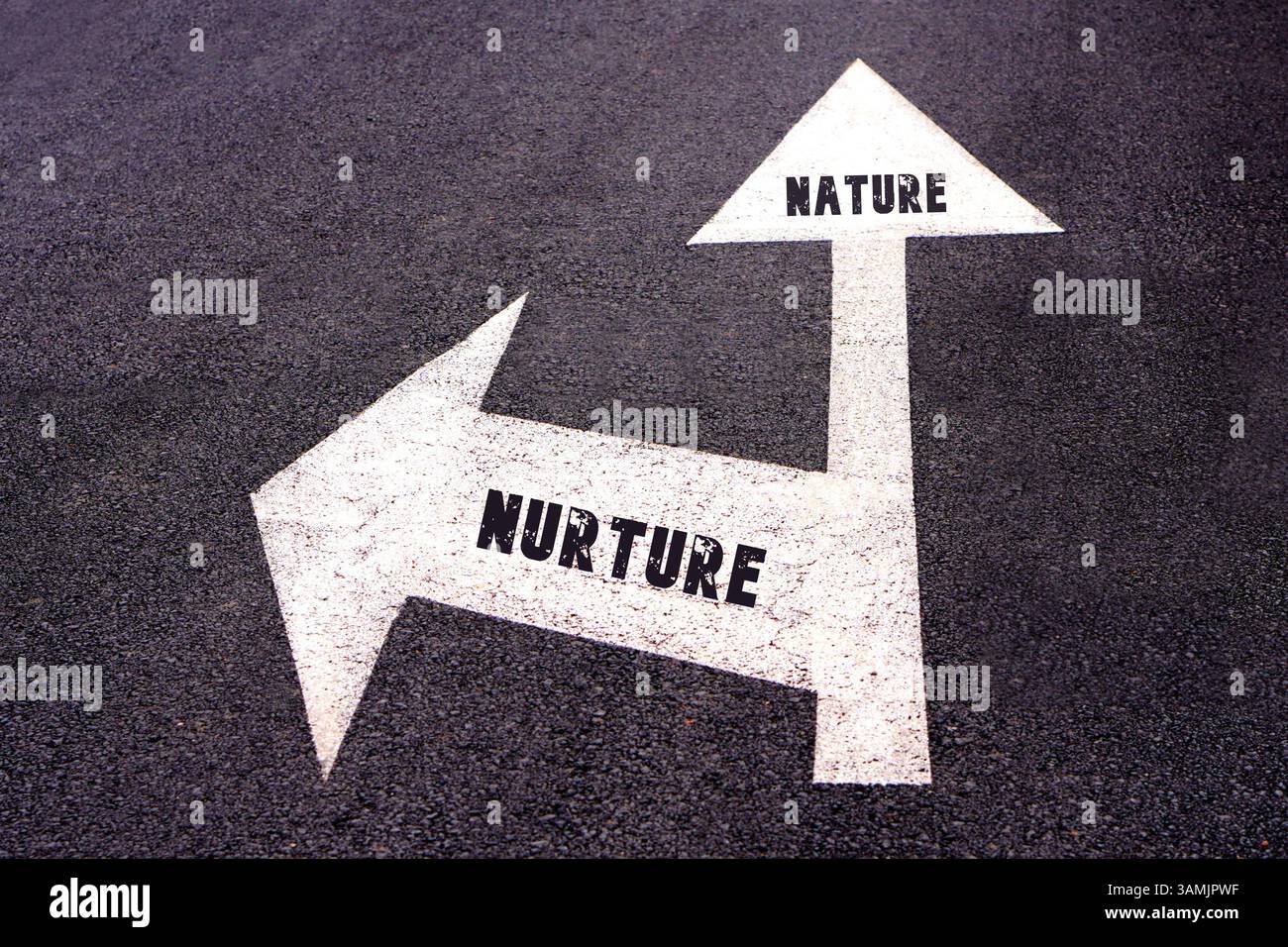 nature and nurture concepts. road sign on asphalt with two arrows ...
