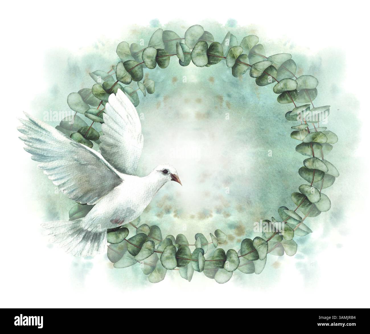 White Dove with Eucalyptus plant green branches wreath. Green twig ...