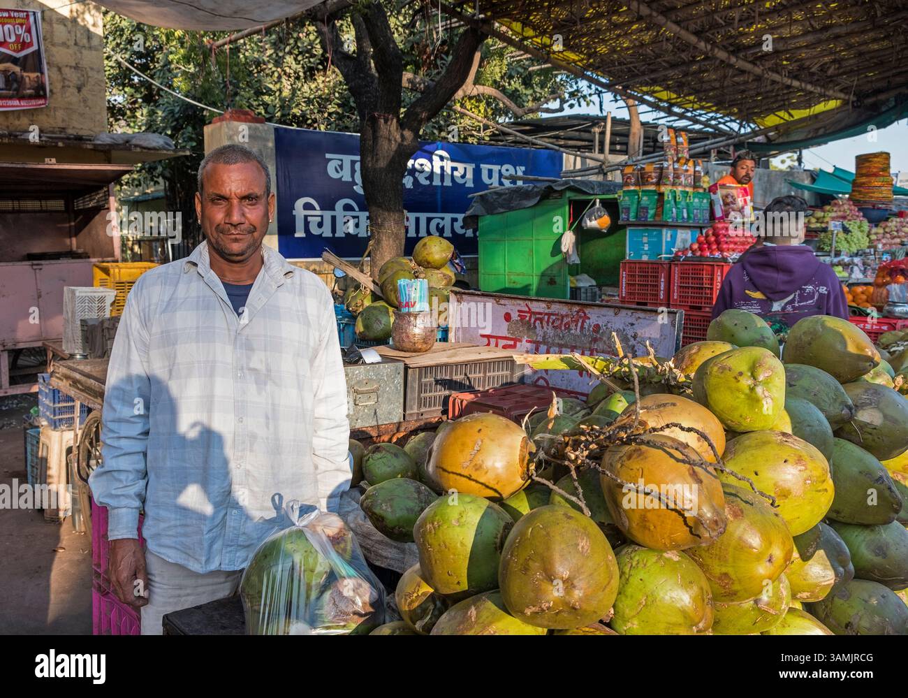 Coconut seller Bundi market Bundi Rajasthan India Stock Photo - Alamy