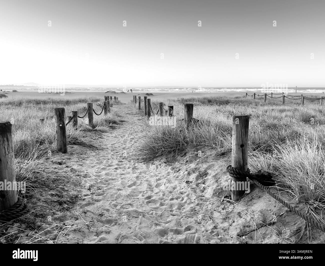 Beach at sunset, Sumner Beach, Sumner, Christchurch (Ōtautahi ...