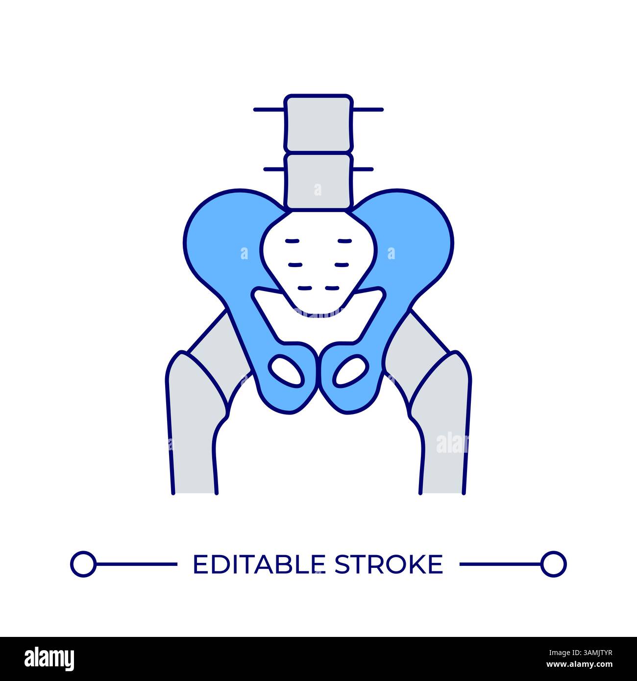 Human hip bones line color icon Stock Vector Image & Art - Alamy