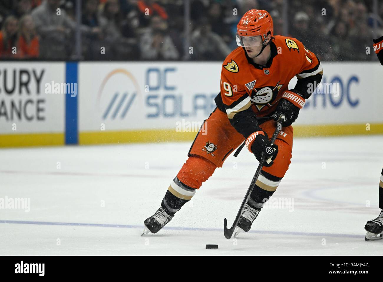 Anaheim Ducks right wing Troy Terry (19) controls the puck against the ...