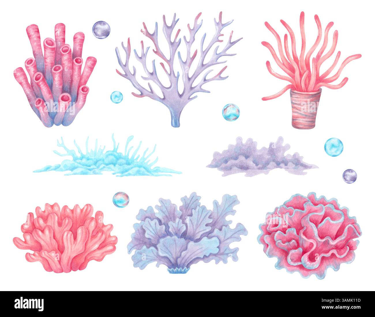Set of sea corals with bubbles. Colorful ocean coral reefs. Watercolor ...