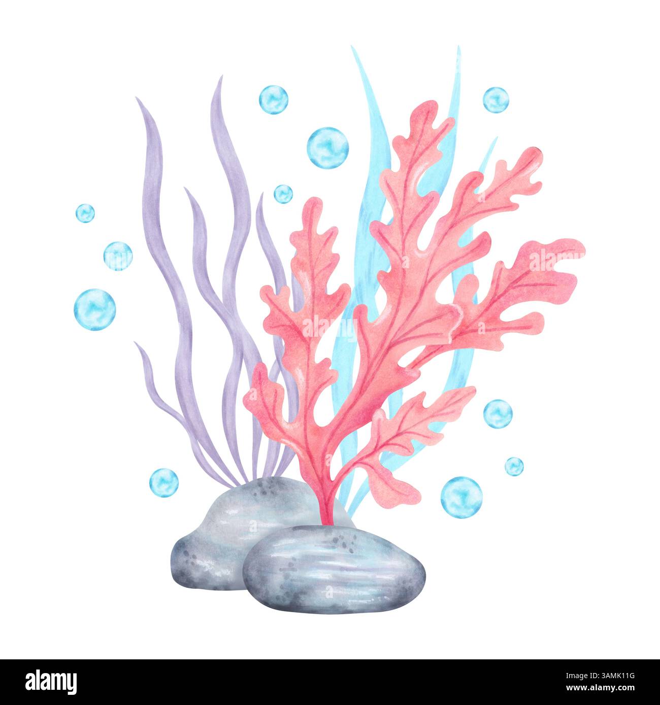 Seaweed with stones and bubbles. Watercolor composition illustration ...