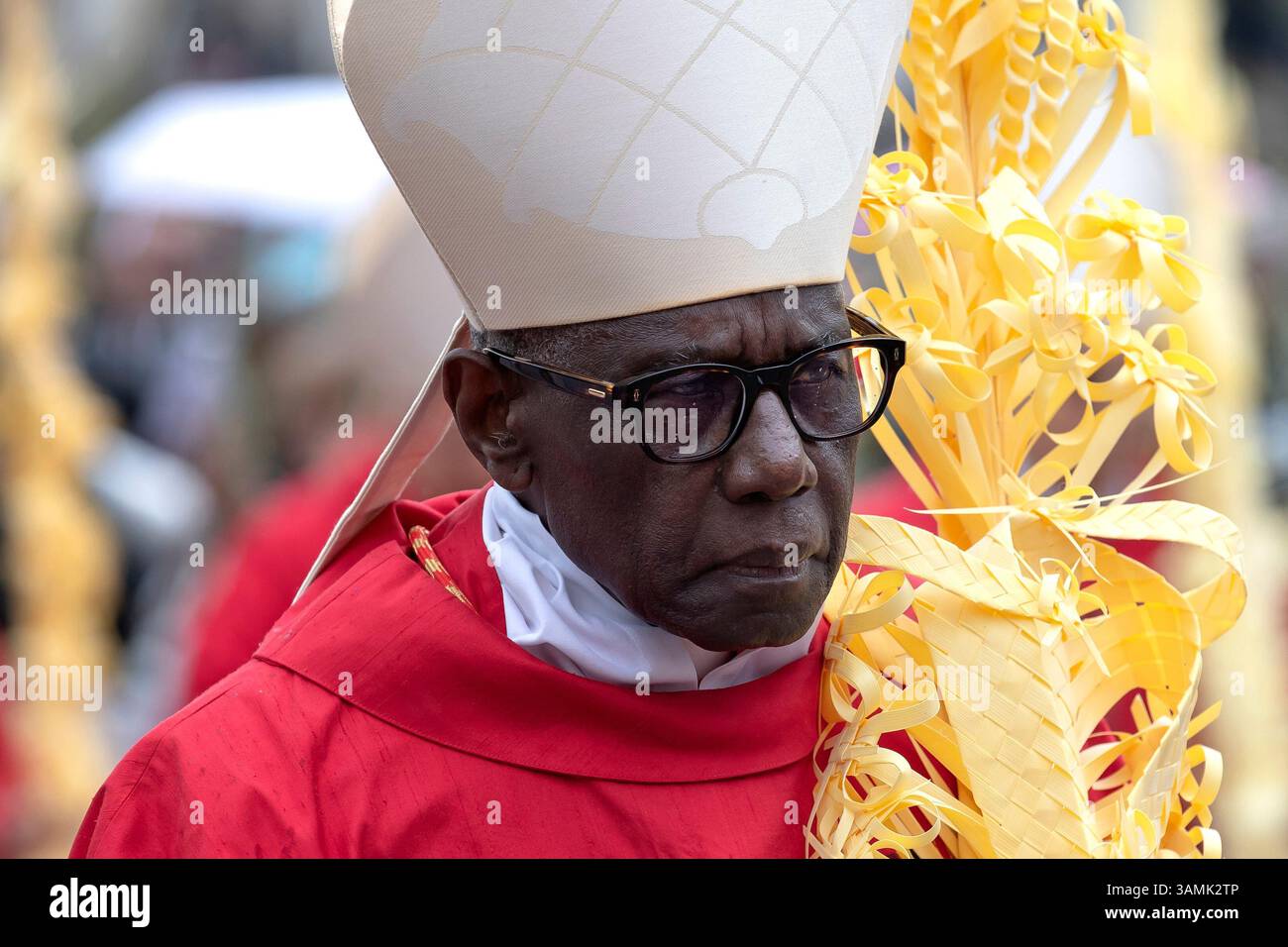 Vatican City, Vatican, 13 April 2025. Cardinal Robert Sarah attends ...