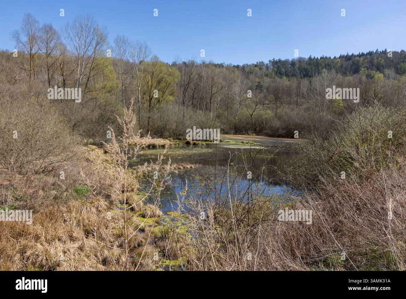 Messel, Germany. 11th Apr, 2025. 48 million years ago, there was a ...