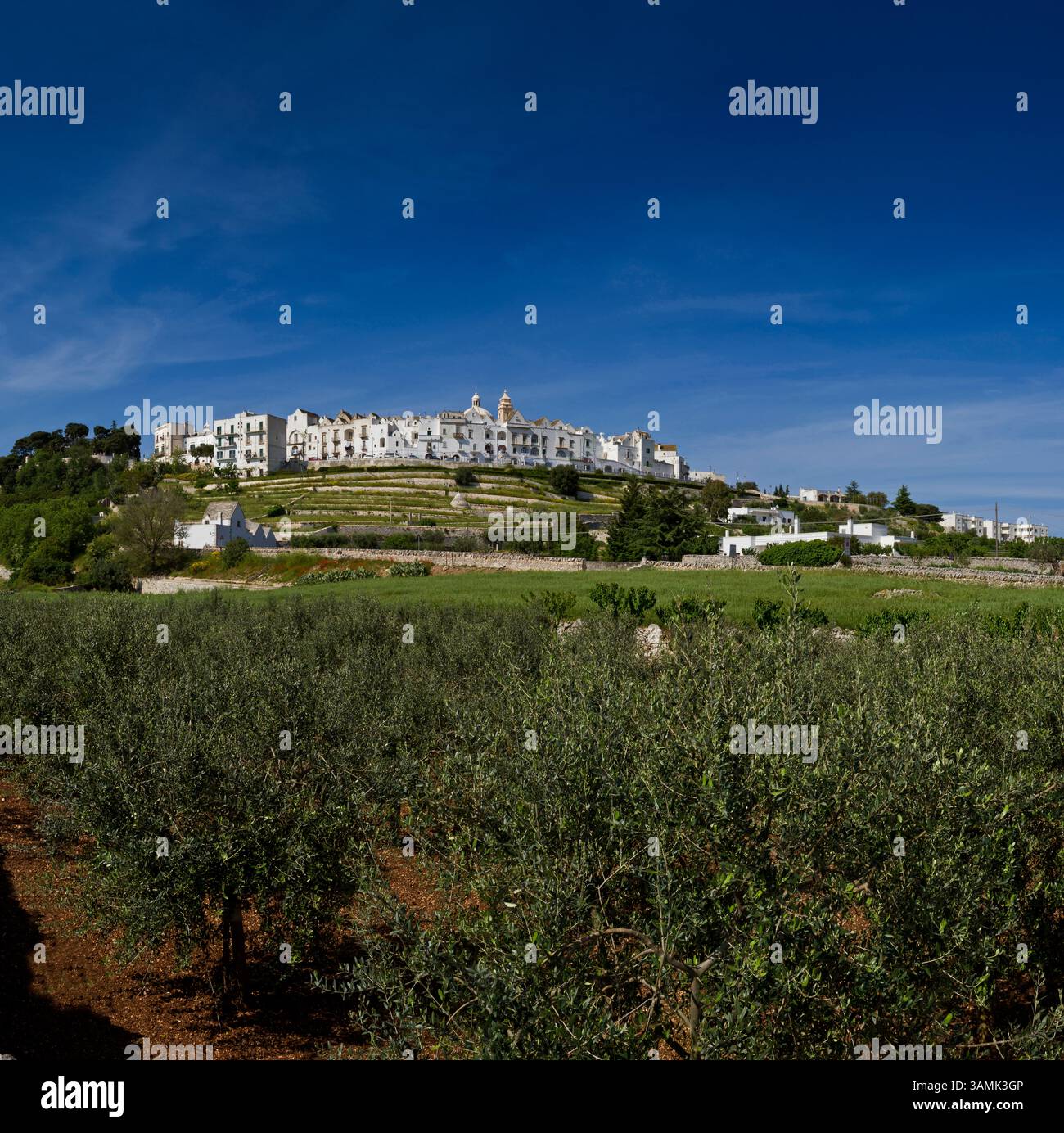 764 x 761 mm @ 300 dpi hi-res stock photography and images - Alamy