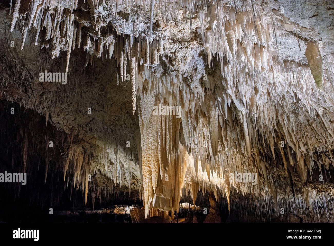 Stalactites in Jewel Cave, Deepdene, Western Australia Stock Photo - Alamy