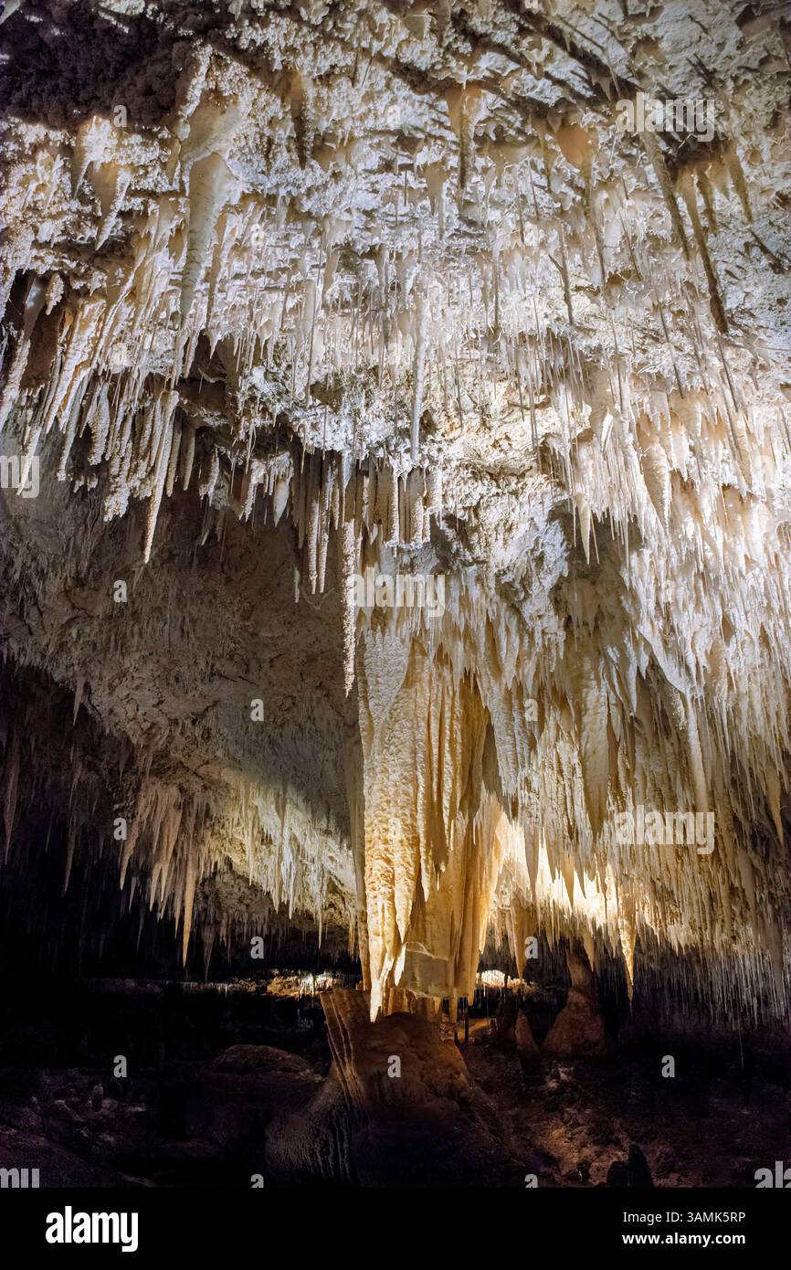 Stalactites in Jewel Cave, Deepdene, Western Australia Stock Photo - Alamy