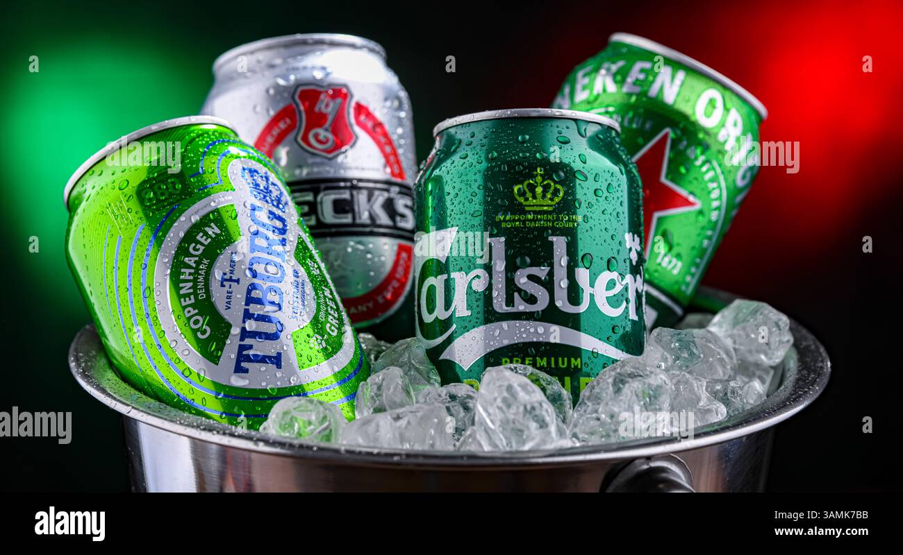 POZNAN, POL - APR 04, 2025: Cans of popular global beer brands ...