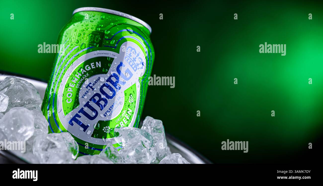 POZNAN, POL - APR 04, 2025: Can of Tuborg beer in bucket with ice Stock ...