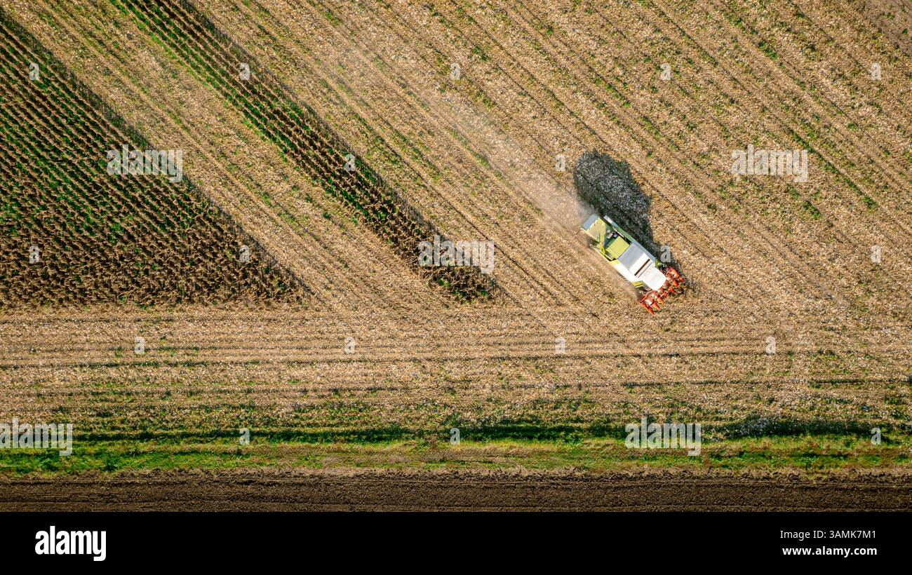 Above top view, over agricultural harvester as cutting and harvesting ...