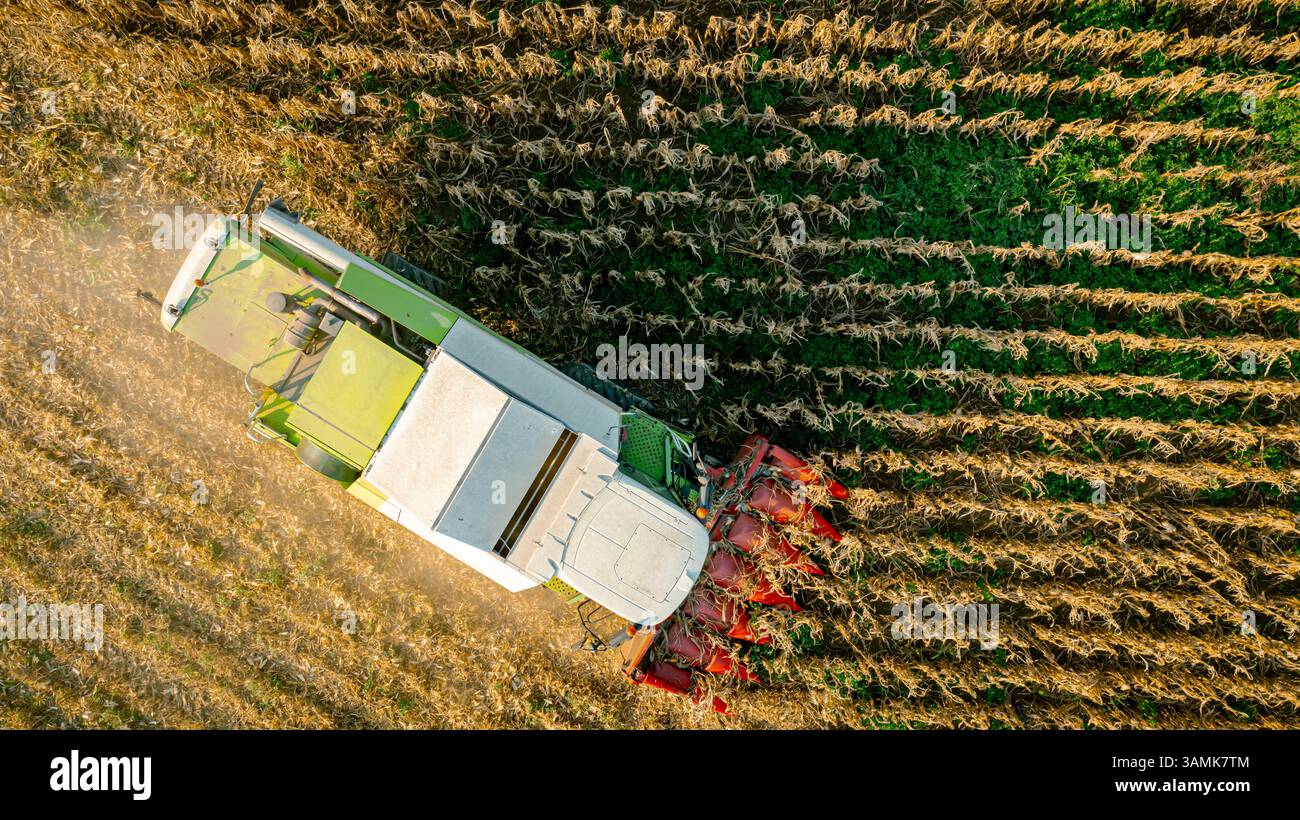 Above top view, over agricultural harvester as cutting and harvesting ...