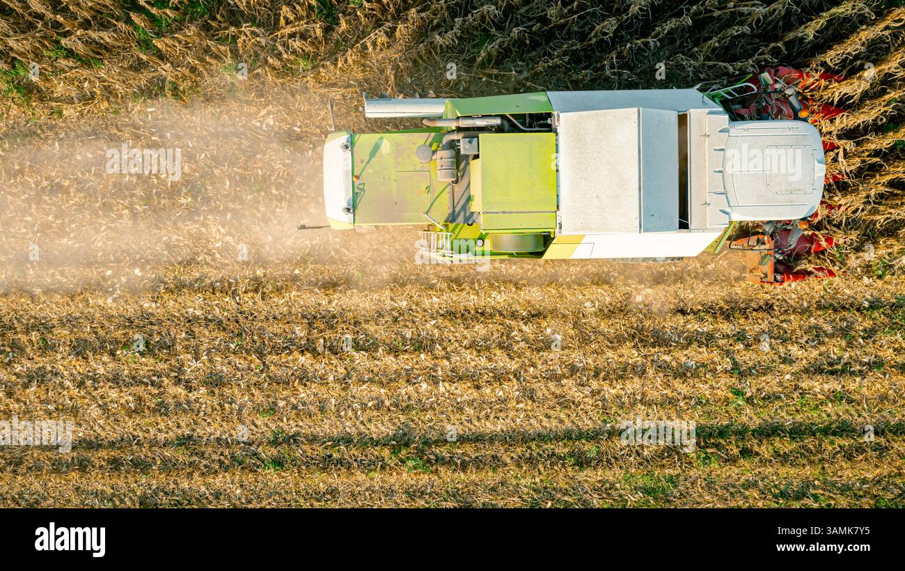 Above top view, over agricultural harvester as cutting and harvesting ...