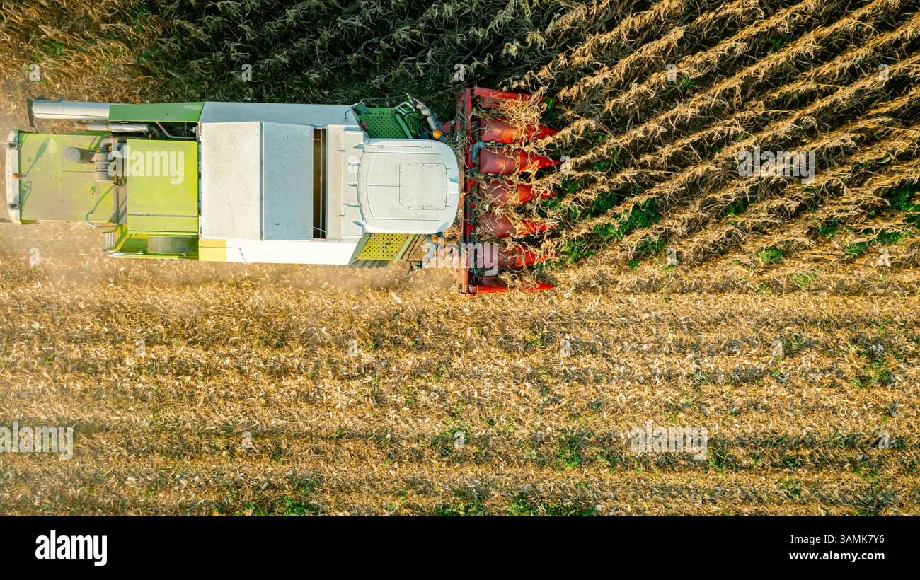 Above top view, over agricultural harvester as cutting and harvesting ...