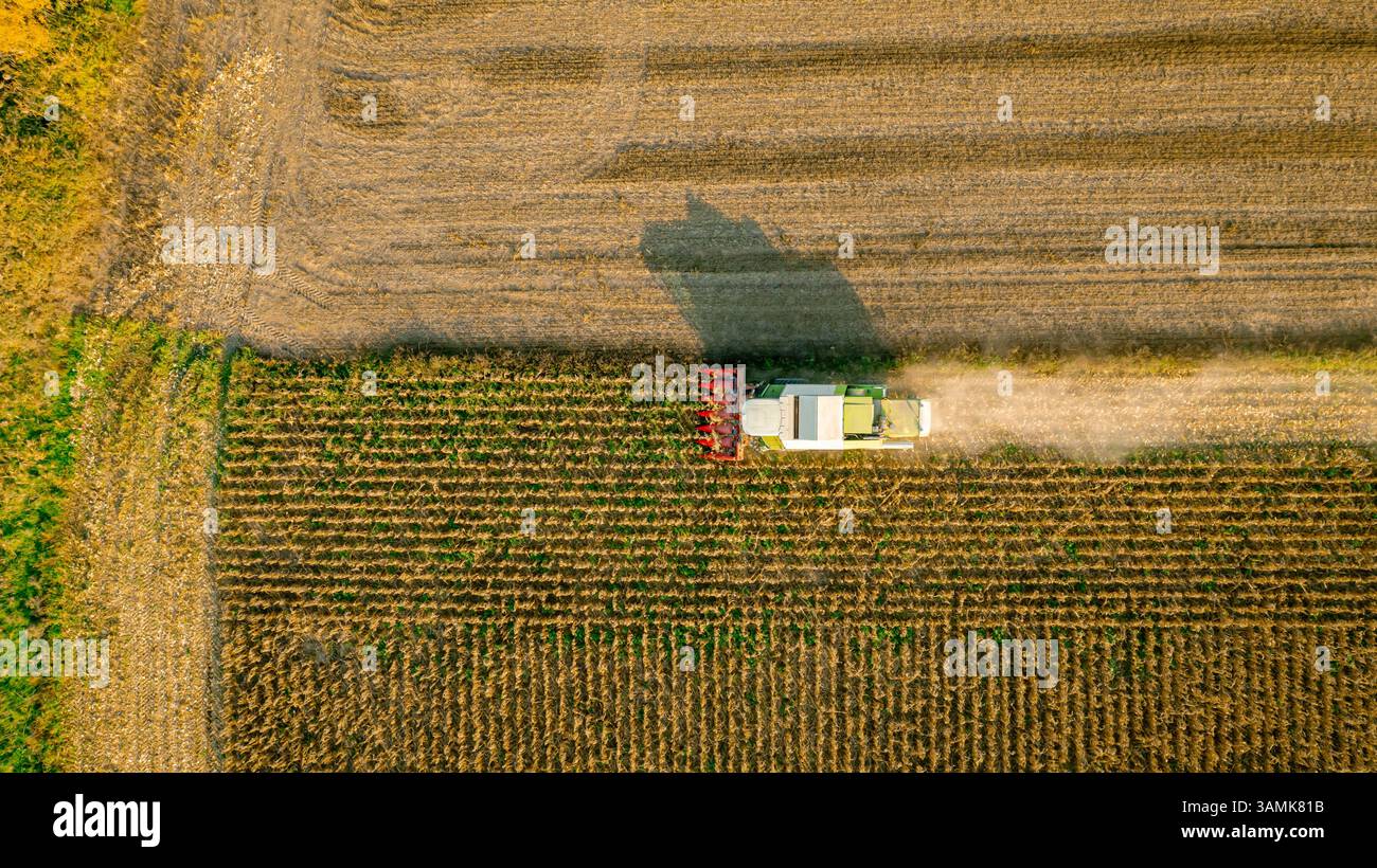 Above top view, over agricultural harvester as cutting and harvesting ...
