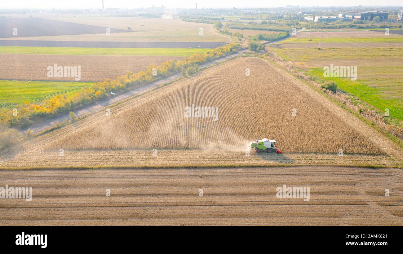 Above view, over agricultural harvester as cutting and harvesting ...