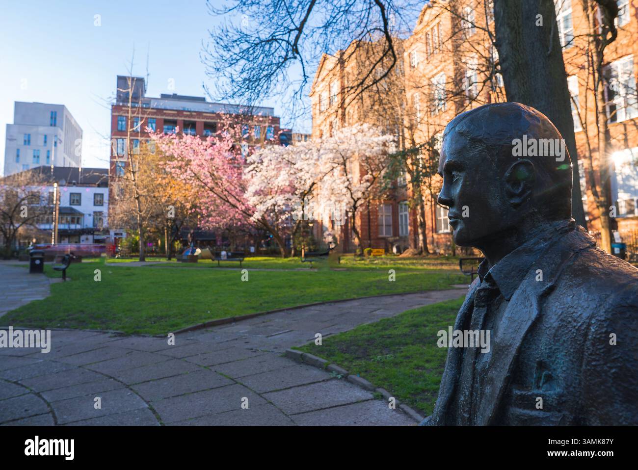 Park in Manchester with Bronze Statue and Cherry Blossom Trees Stock ...