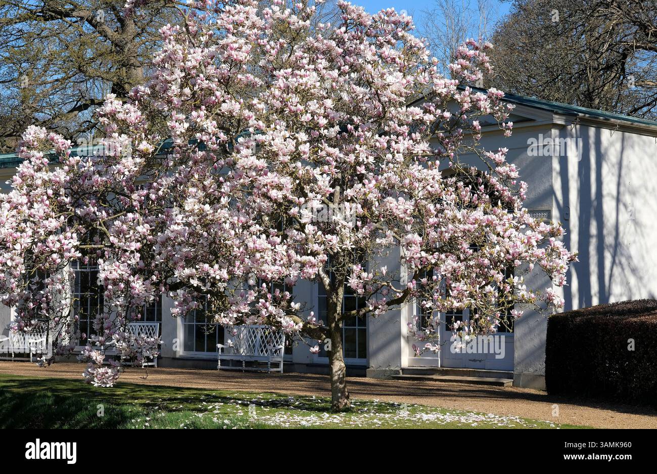 Blickling estate norfolk spring hi-res stock photography and images - Alamy