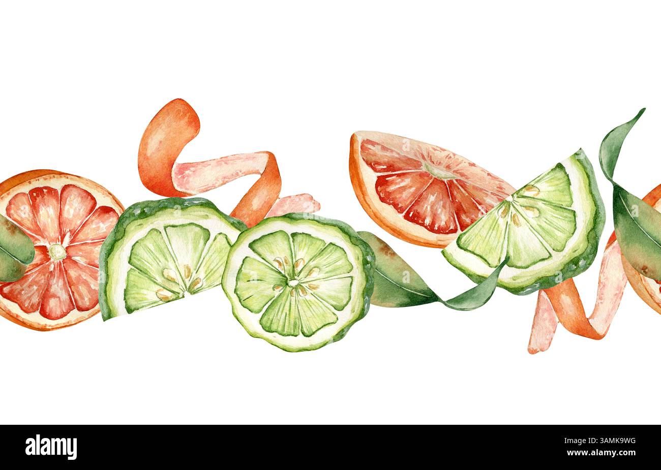 Grapefruits and bergamot, orange and green citrus on watercolor seamless border isolated ...