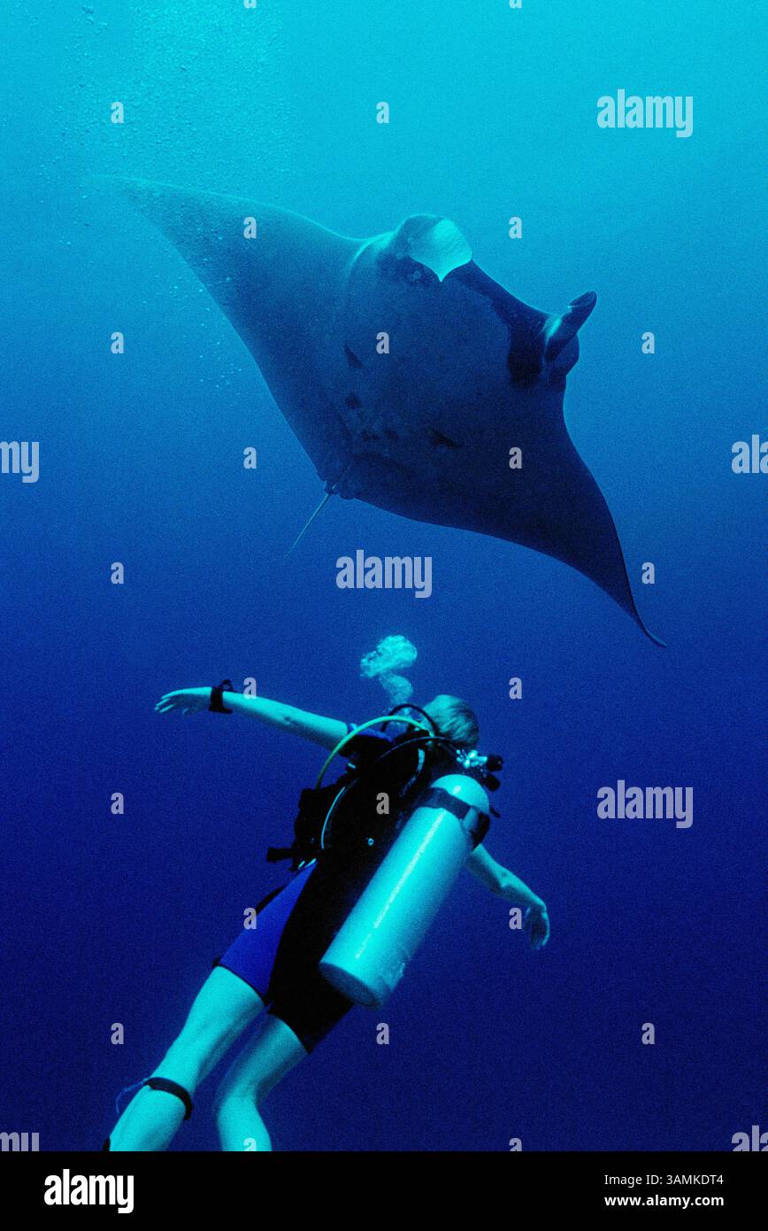 Scuba diver making the mantasign while a great Manta Ray is swimming ...