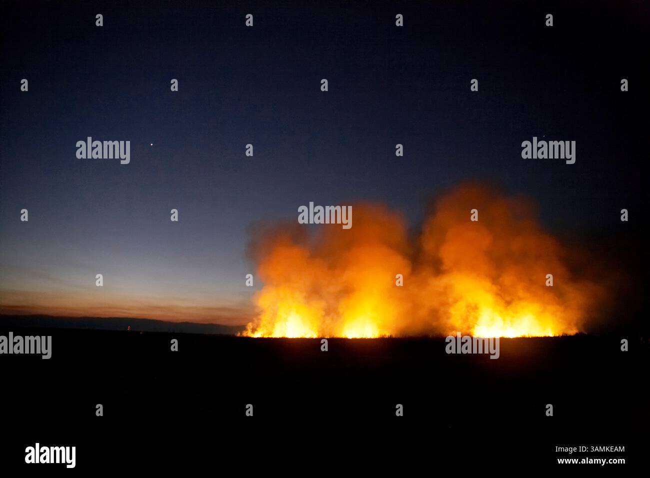 Field fire. Nchalo, Shire walley, Chikwawa district, Southern Malawi ...
