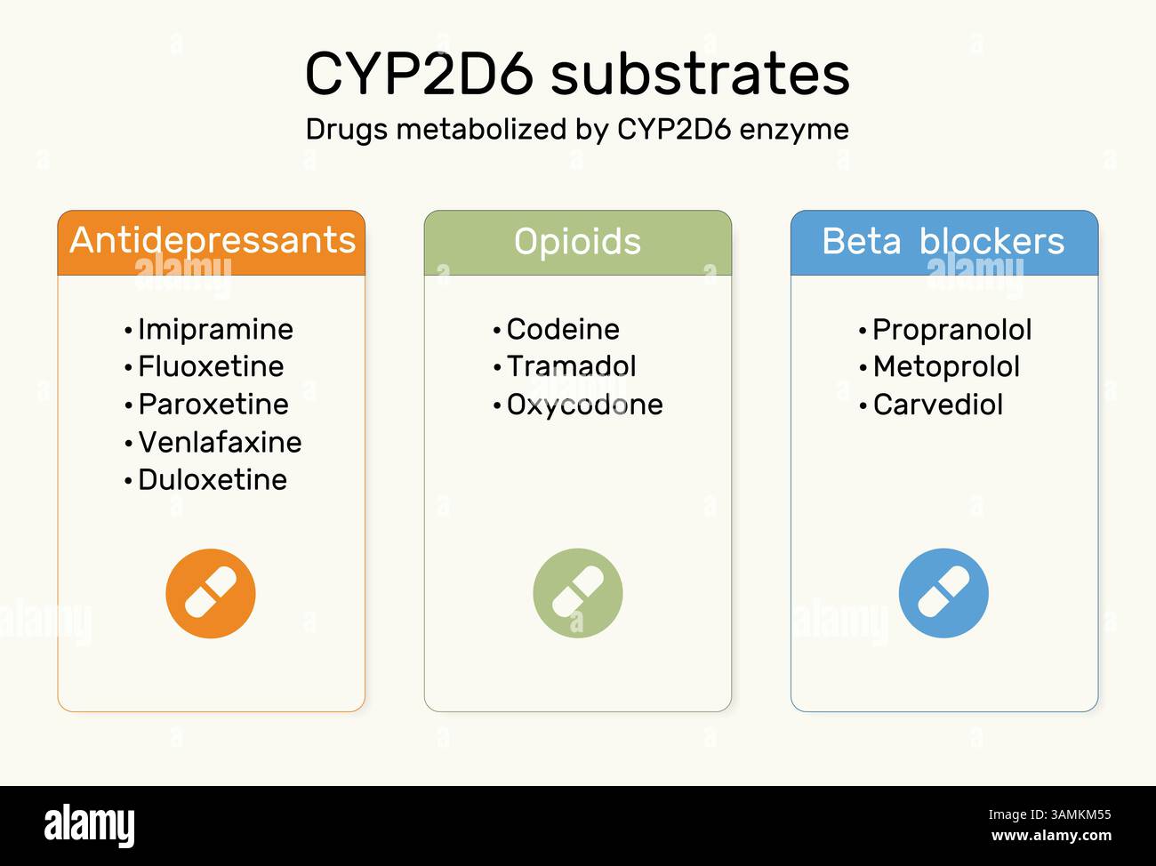 CYP2D6 substrates infographic. Drugs metabolized by CYP2D6 enzyme ...