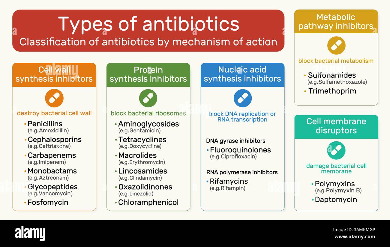 Types of antibiotics. Cell wall synthesis, protein synthesis, nucleic ...