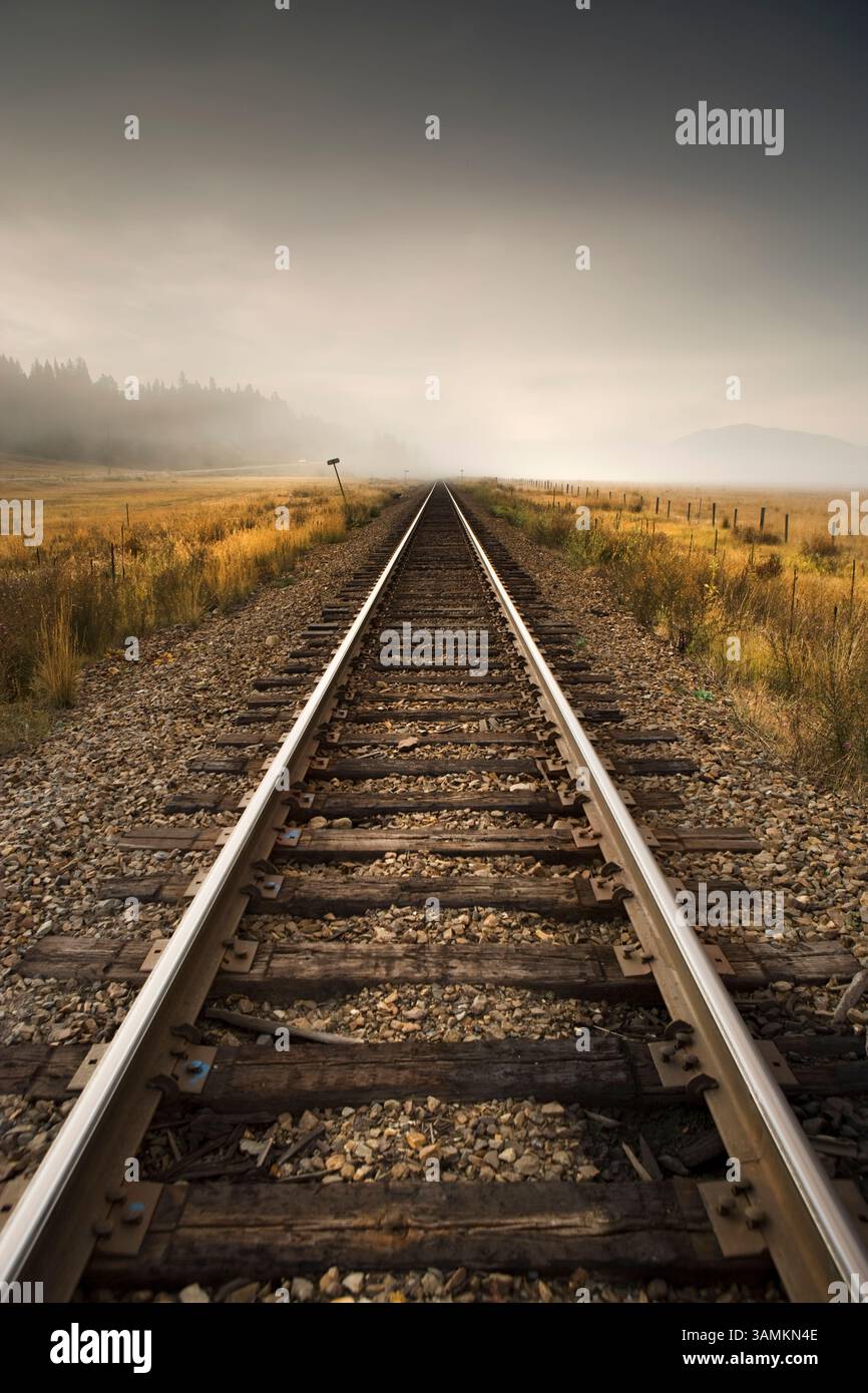 Train track in the mist Stock Photo - Alamy