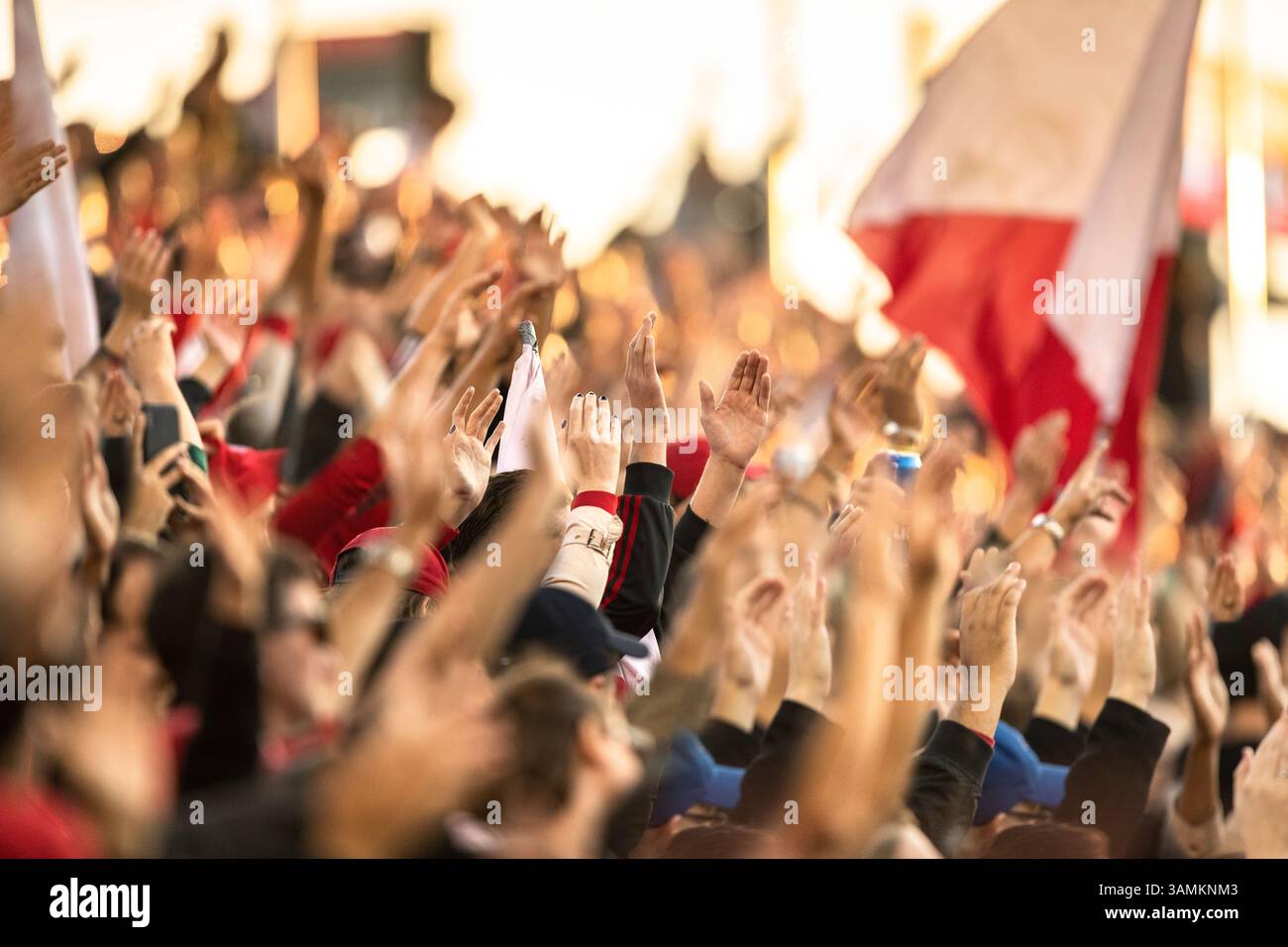 Fans cheering with raised hands in sports stadium Stock Photo - Alamy